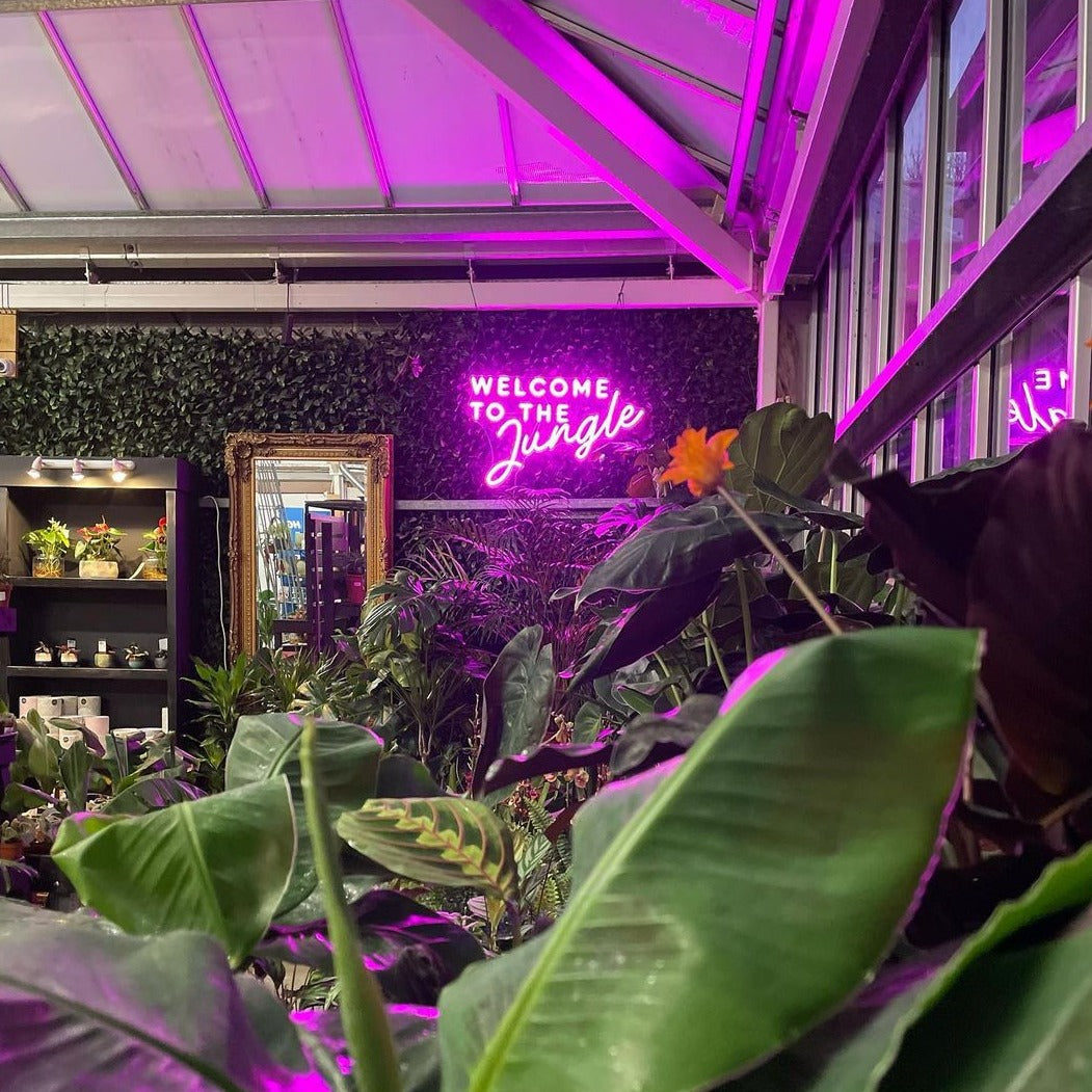 "Welcome To The Jungle" Neon Sign | LED Neon Lights UK – Neon Filter