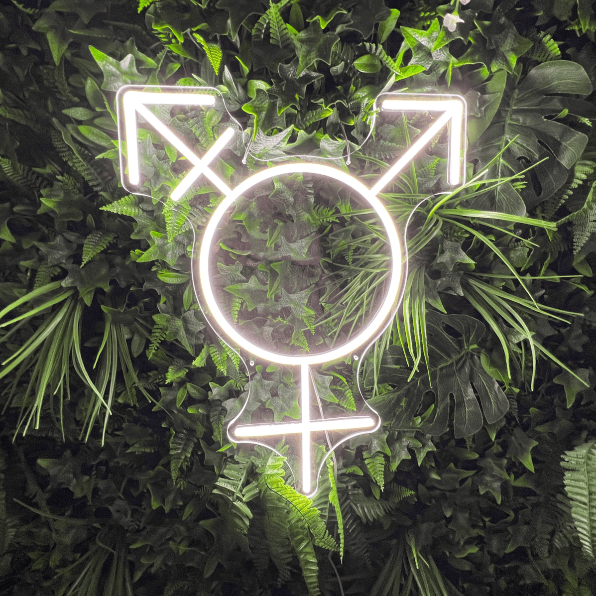Transgender Symbol Neon Sign | LGBTQIA+ Neon Lights — Neon Filter